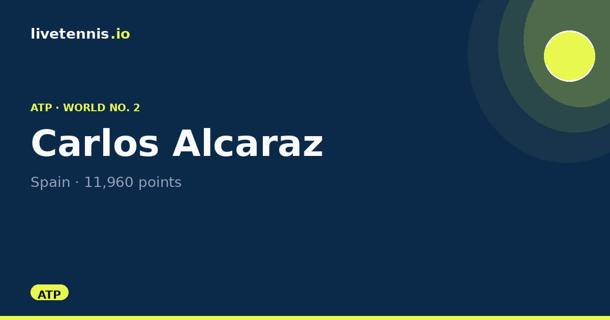 Carlos Alcaraz, World No. 2 ATP player profile